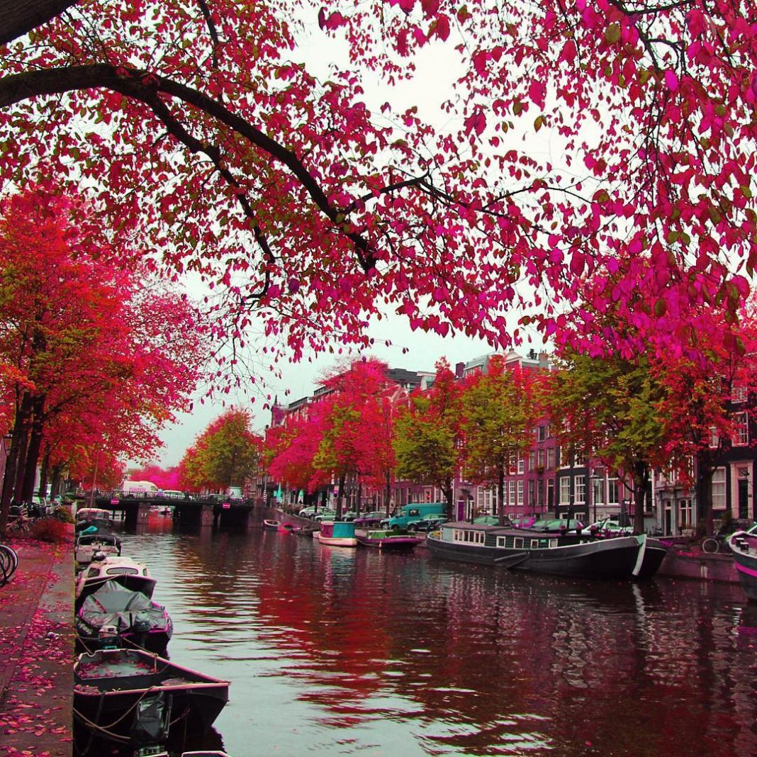 9 Of The Most Beautiful European Cities in Autumn | Add to Bucketlist ...