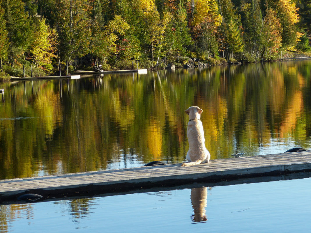 America's 20 Coolest Summertime Lake Towns - Add to Bucketlist ...