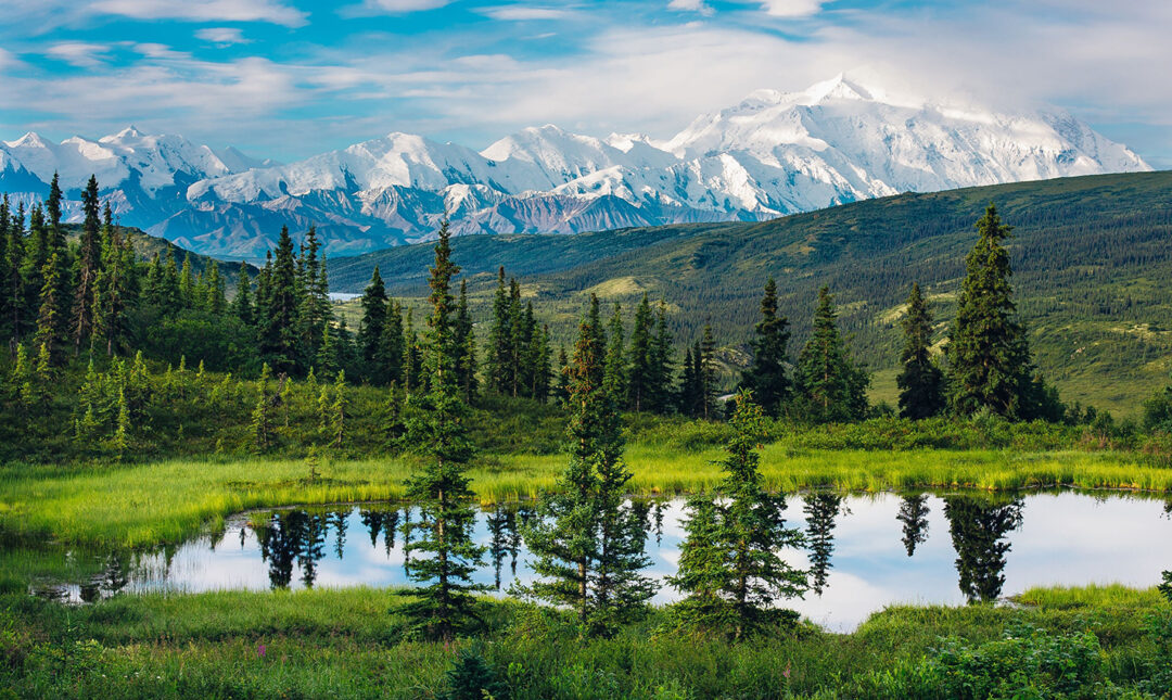 19 Awesome Things To Do In Alaska - Add to Bucketlist , Vacation Deals ...