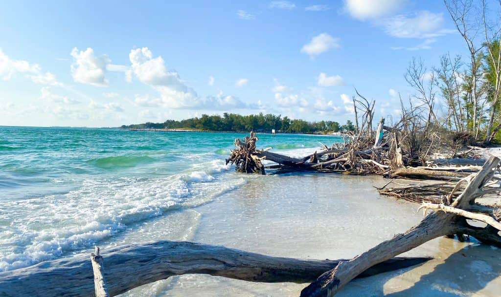 10 Hidden Gems In Miami, Florida - Add to Bucketlist , Vacation Deals ...